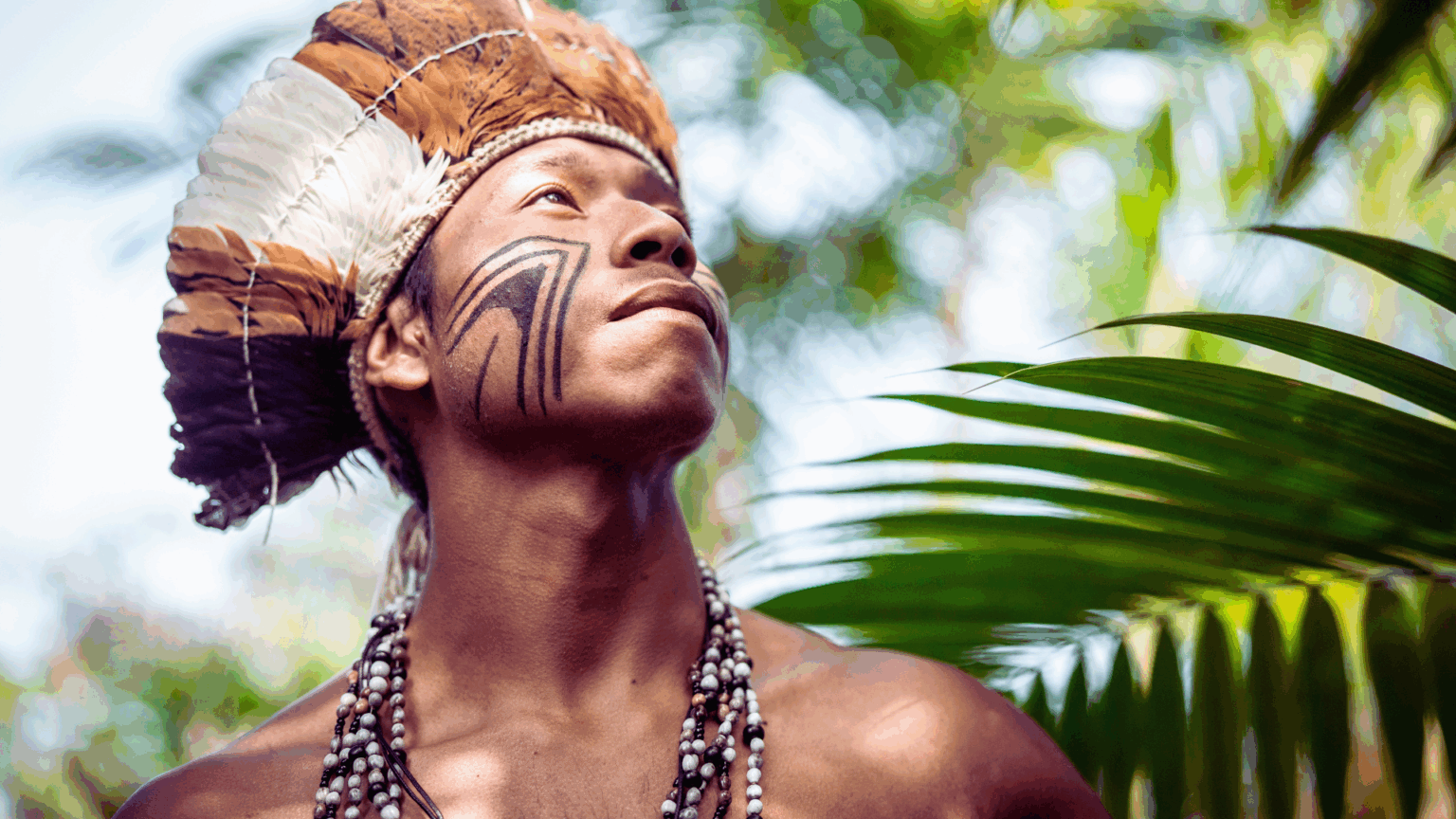 Herbal Tea In Indigenous Cultures 🫅 Traditional Brews And Their Stories ...