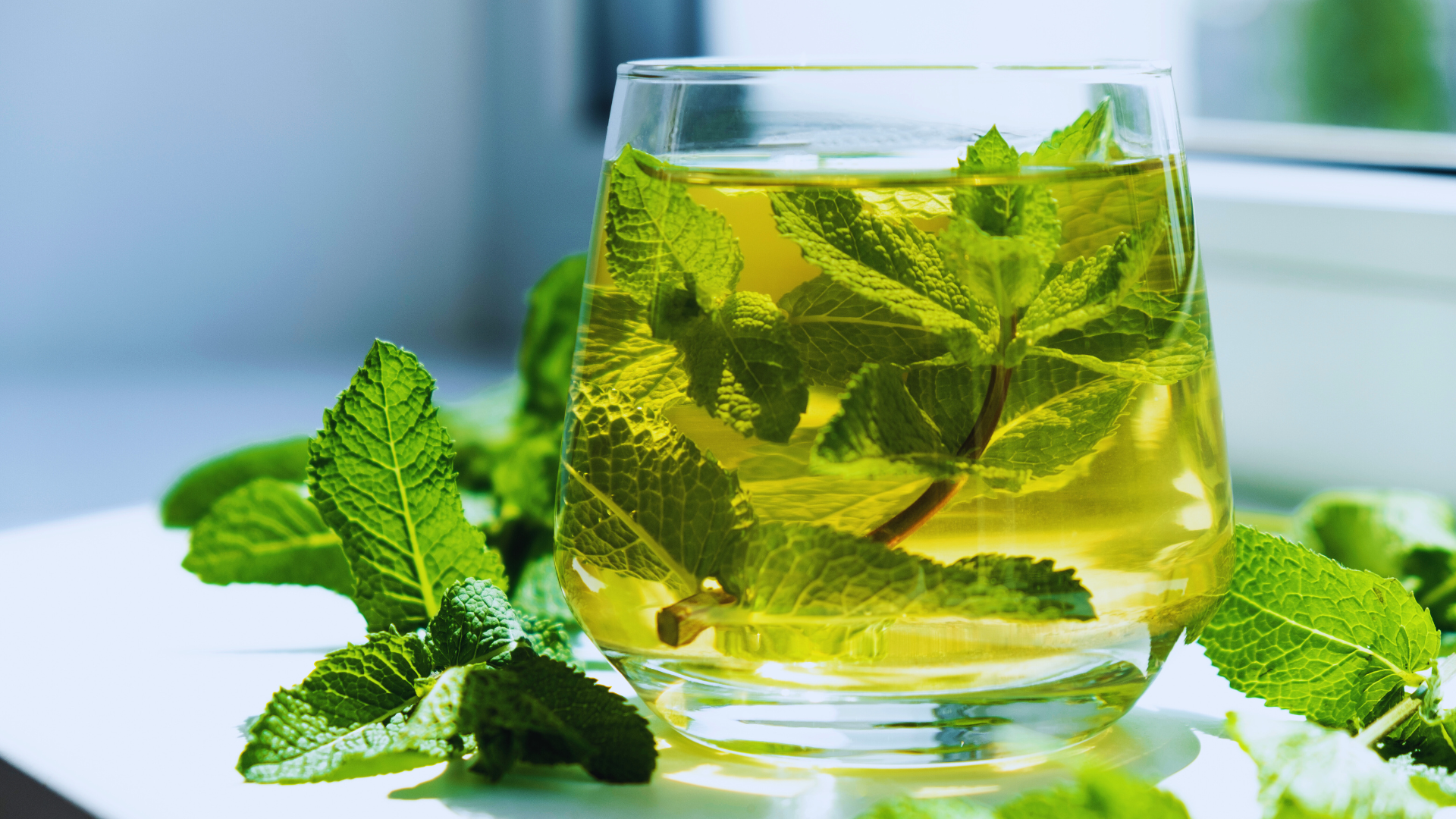 Hot Vs Cold Mint Tea 🧋 Benefits, Flavors, And When To Choose Each - OnoTea